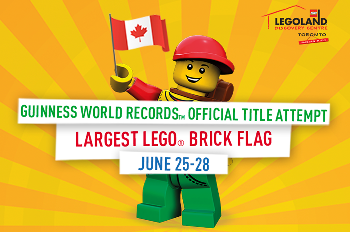 Guiness World Records Official Title Attempt Largest Lego Brick Flag ...