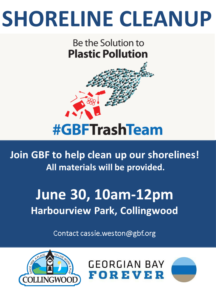 Shoreline Cleanup | The Peak