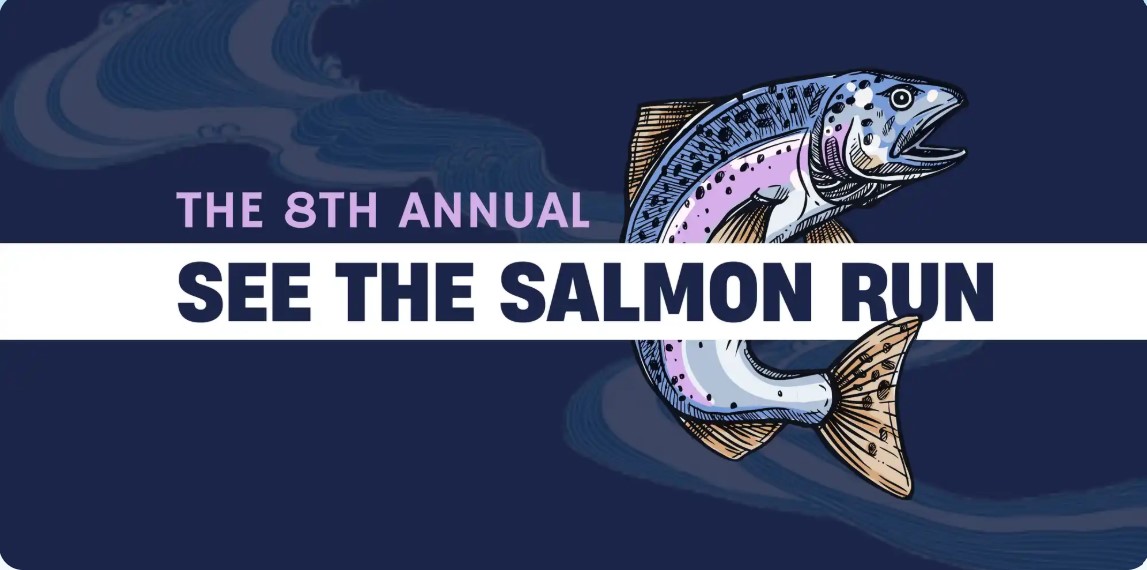 See the Salmon Run 2025 | The Peak