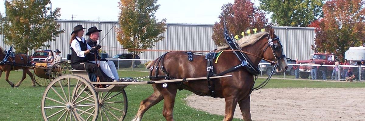 Elmvale Fall Fair | The Peak